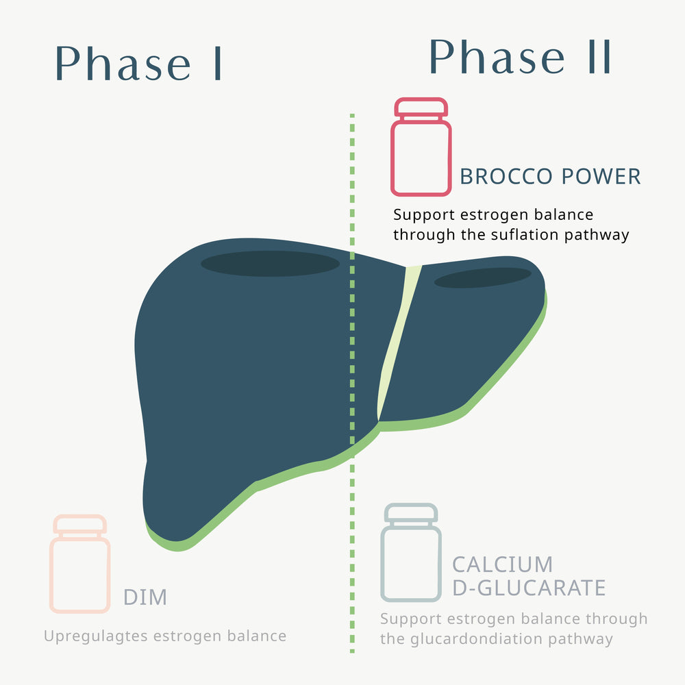 Brocco Power - Sulforaphane | Wellena Supplements - Wellena / Hormones ...